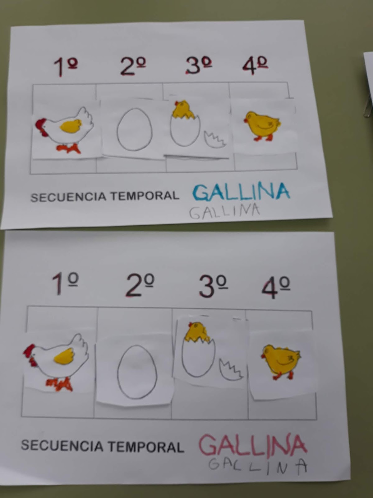 Aula Infantil Ana Belén: EL CARNAVAL DE LOS ANIMALES: GALLOS Y GALLINAS