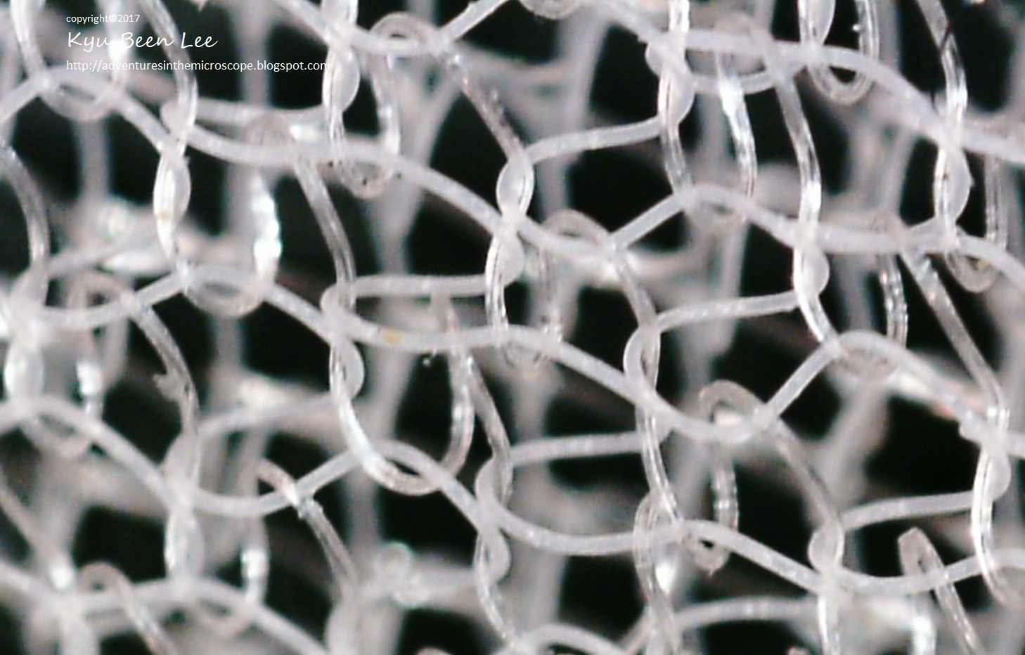 Nov 21, 2017 Club meeting