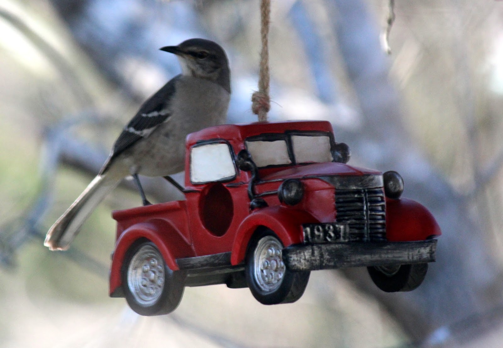 GypsyFarmGirl: Red Trucks and Birds