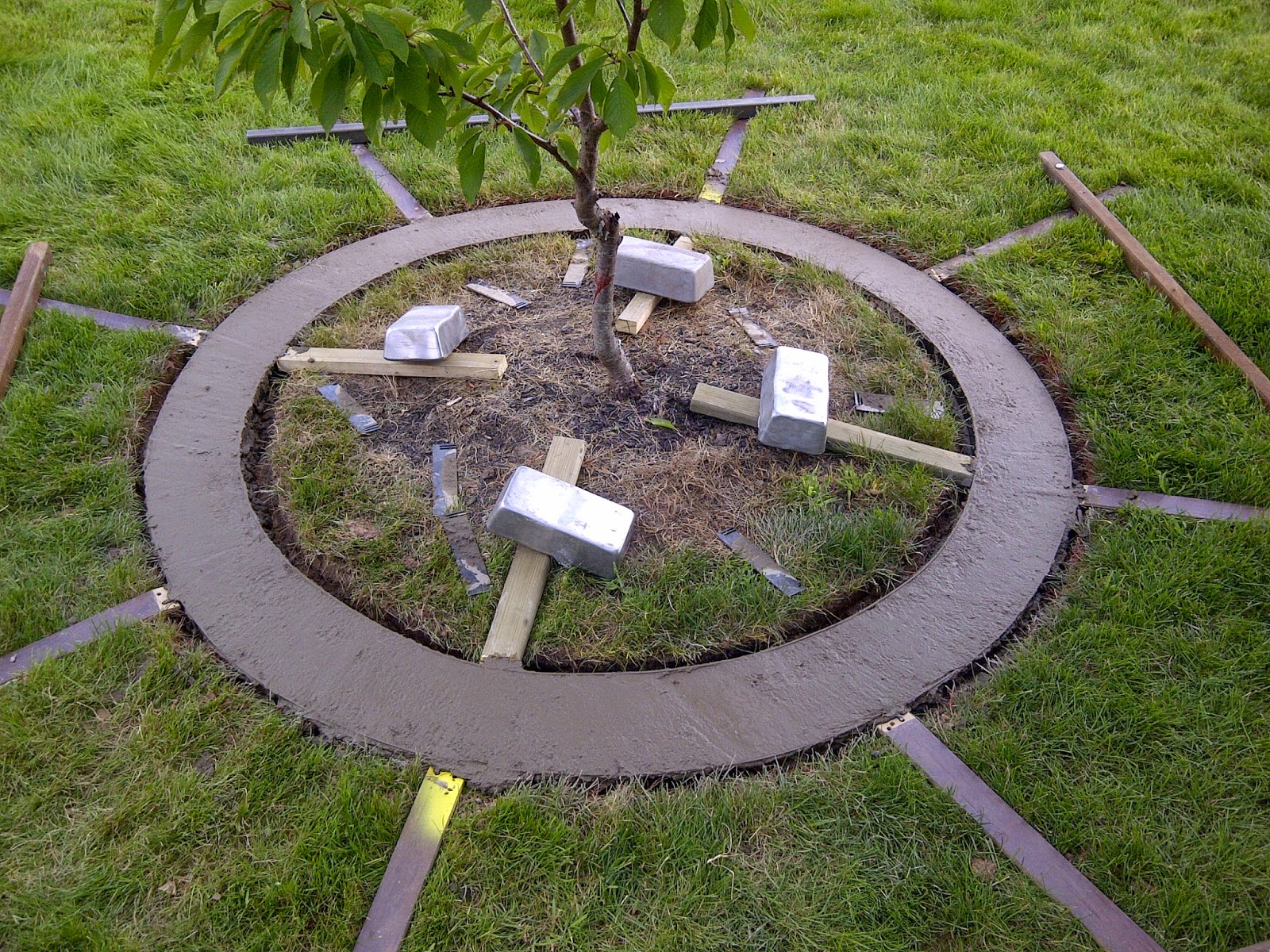 Another Day Another Project: Concrete Borders for Trees