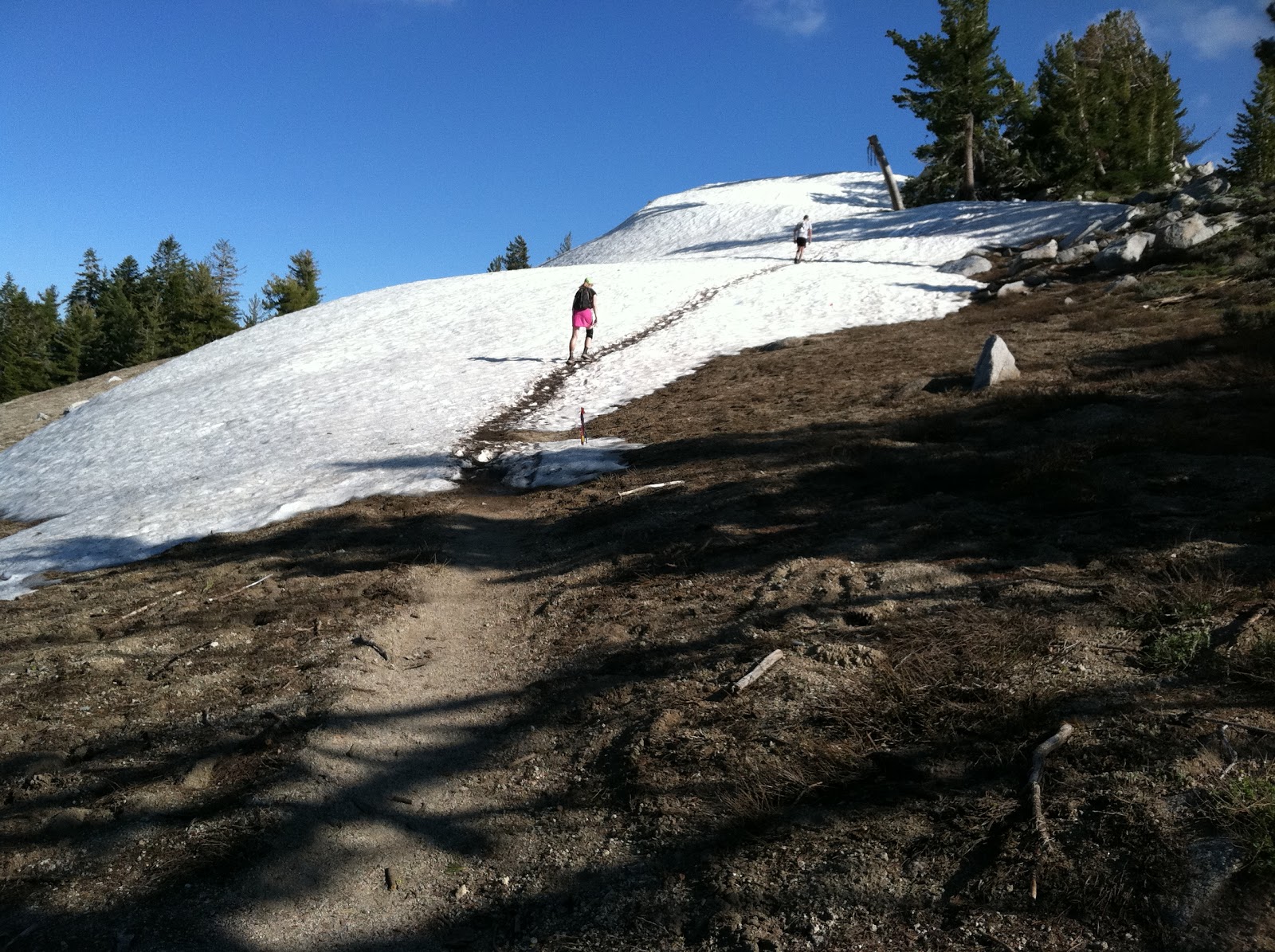 How to Run Your First Ultra-50K to 100 Miles: Tahoe Rim Trail 100