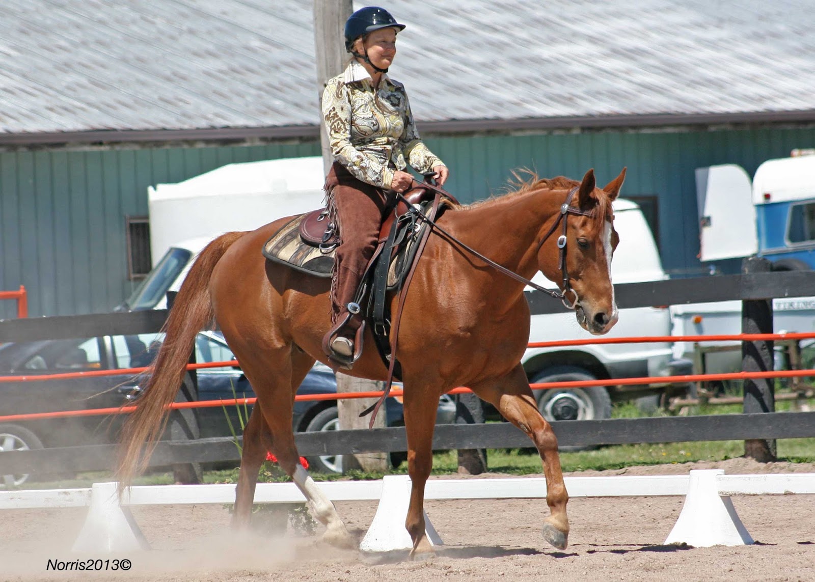 Elaine Ward Western Style Dressage: Acceptable Outlines for Basic Level ...