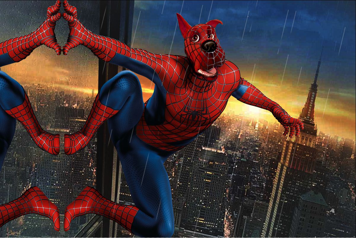 Computer Graphics: Finished spider doo