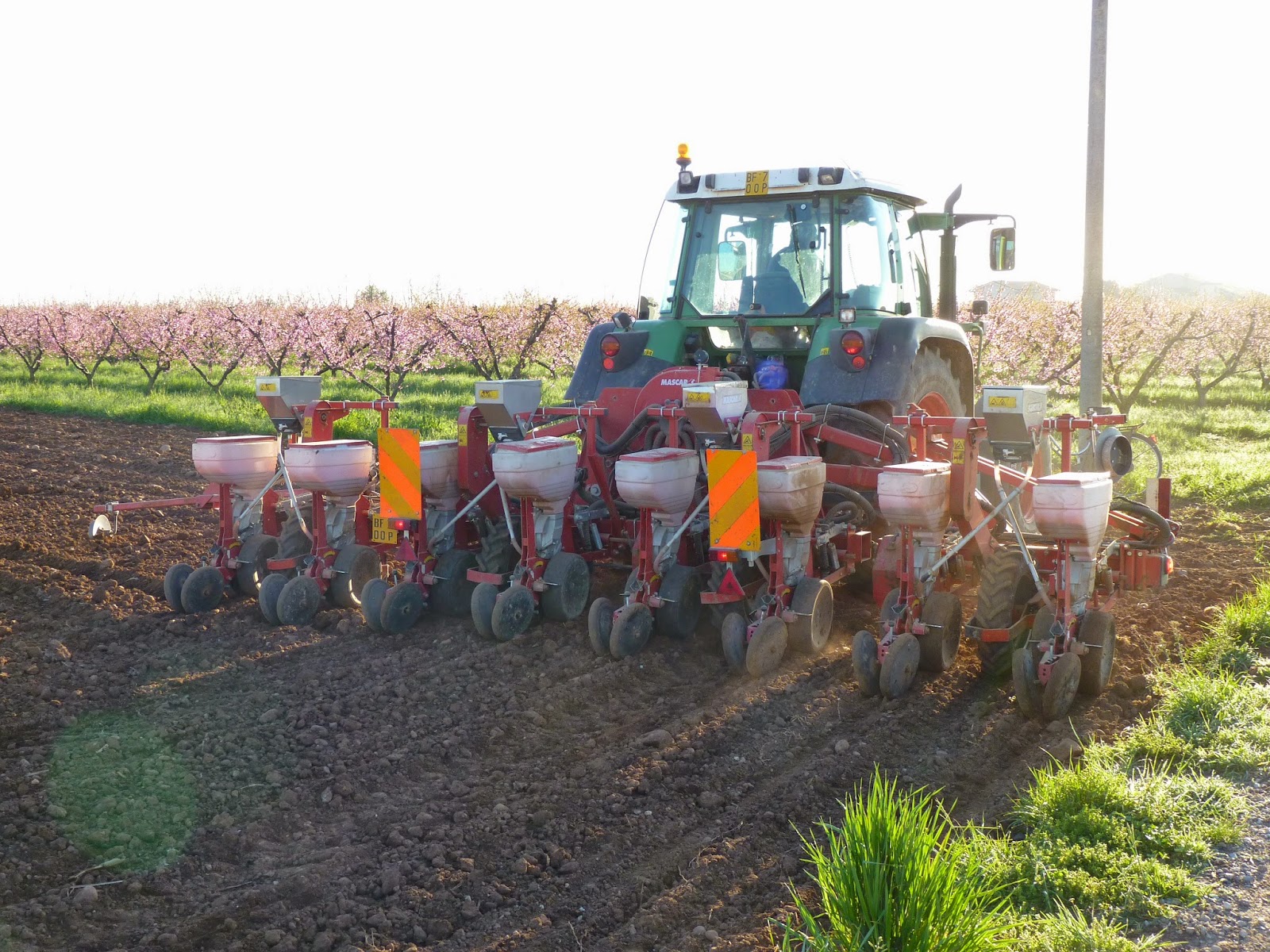 Corte Zaghina: Seminato anche il mais