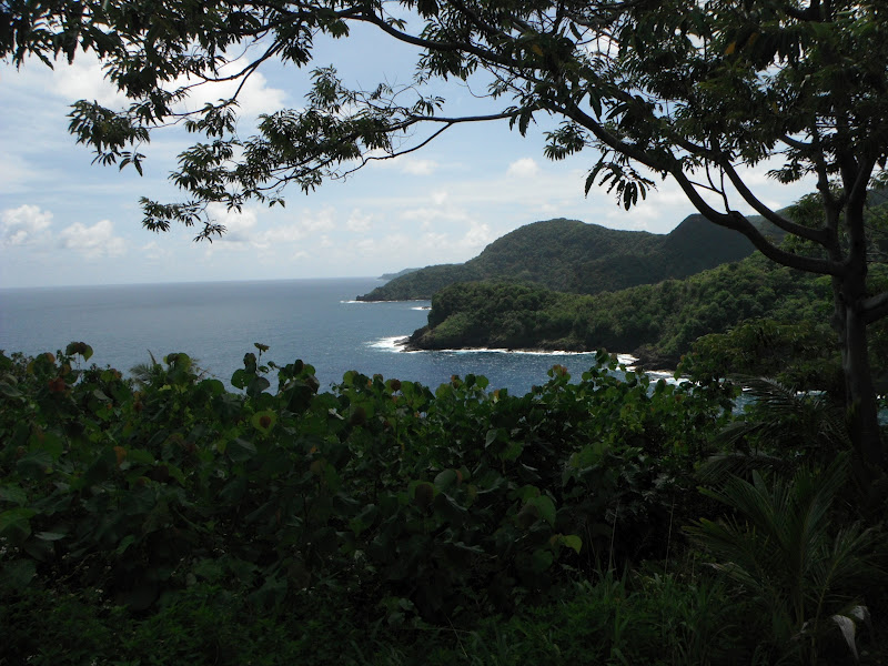Quinn in American Samoa: Vatia Tide Pools