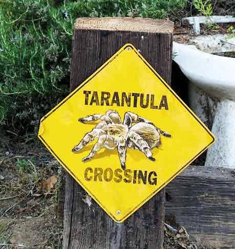 Retired--Now What?: Goal Setting--Second Winning Blog Post