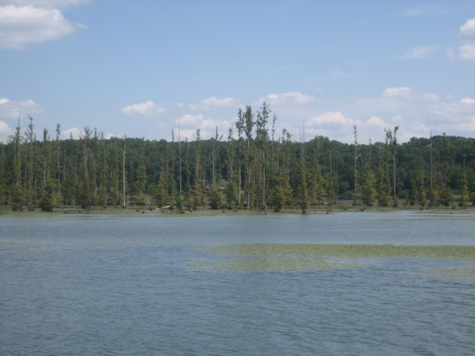 Swing Set: Upper Tenn-Tom Waterway