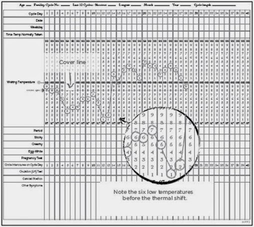 Making Baby Series - Part 12 :THE MAKING BABIES BASAL BODY TEMPERATURE ...