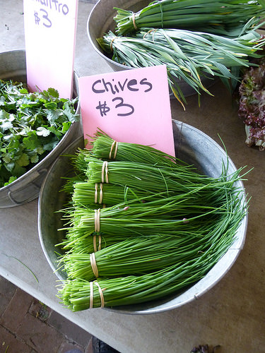 Behind the French Menu: Ciboulette – Chives, the herb, in French Cuisine.