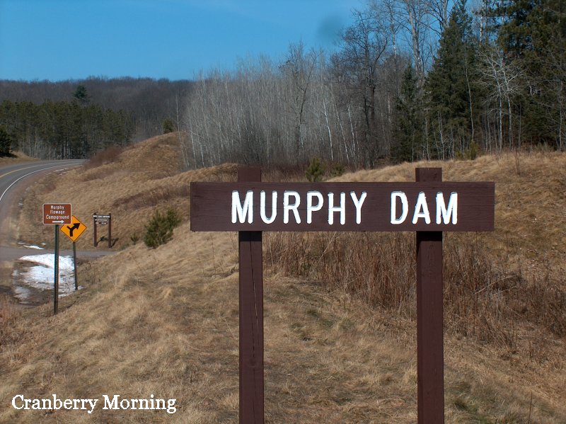 Cranberry Morning: Murphy's Flowage, NW Wisconsin