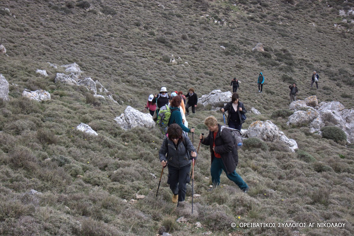 EXPLORE MOUNTAINS: ΜΟΝΟΠΑΤΙ Ε4 ΔΑΦΝΗ-ΠΕΥΚΟΙ ΣΤΗΝ ΣΗΤΕΙΑ
