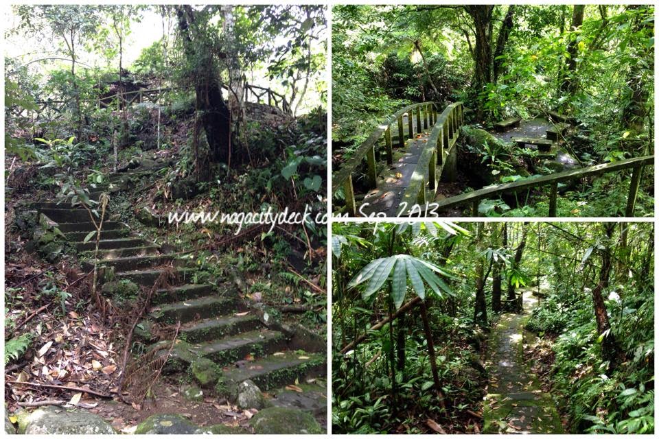 Guide to Consocep Mountain Resort / Falls ~ Naga City Deck