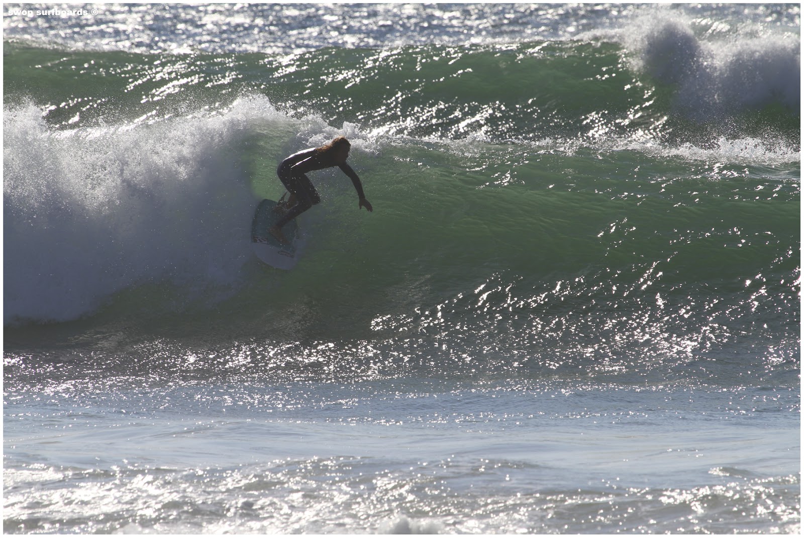 swop surfboards: DIMITRI ZOELLIN ON MINI SIMMONS