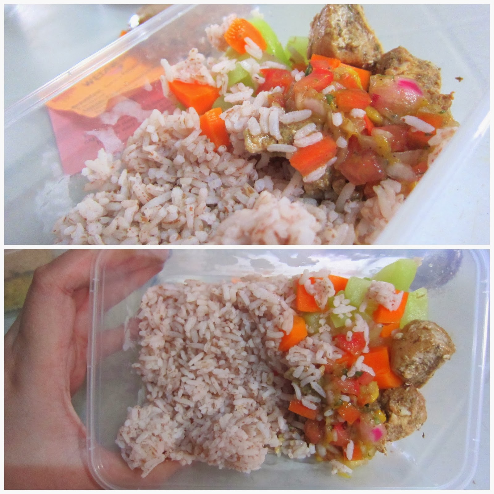 THE LUNCH BOX DIET REVIEW | callmekristine