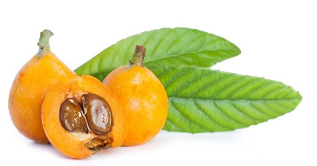 FOGLIE: Le proprietà benefiche della nespola