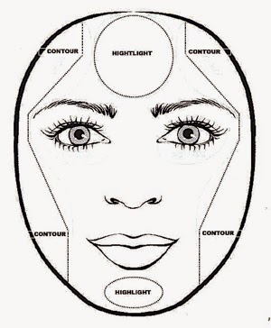 Face Contour Lines