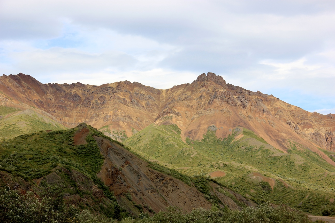 Joy of Discovery: Toklat, Denali National Park