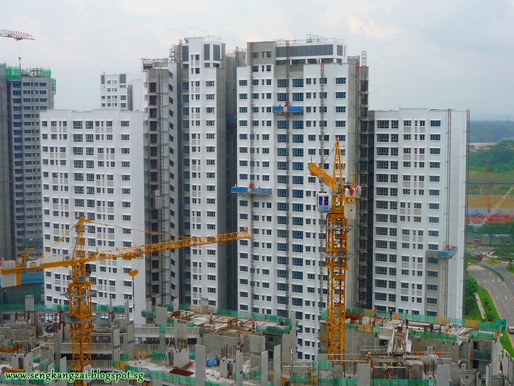 Zai@Sengkang: Fernvale Ridge Snapshot (Completed)