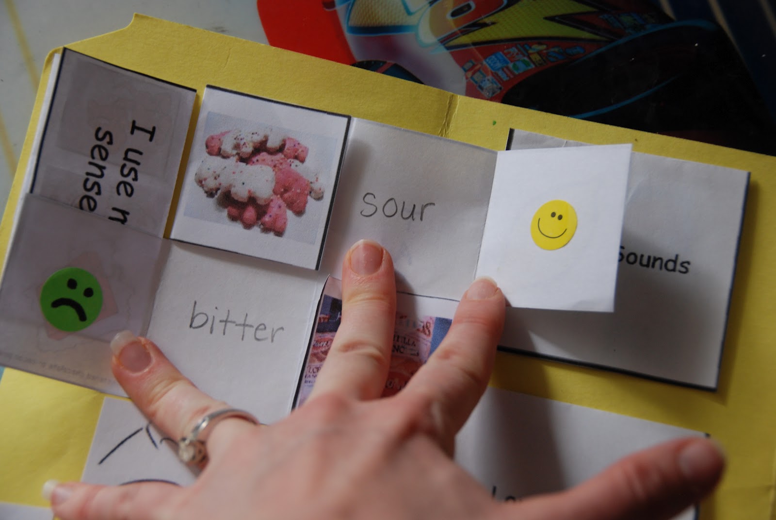 Adventures in Homeschooling: The 5 Senses