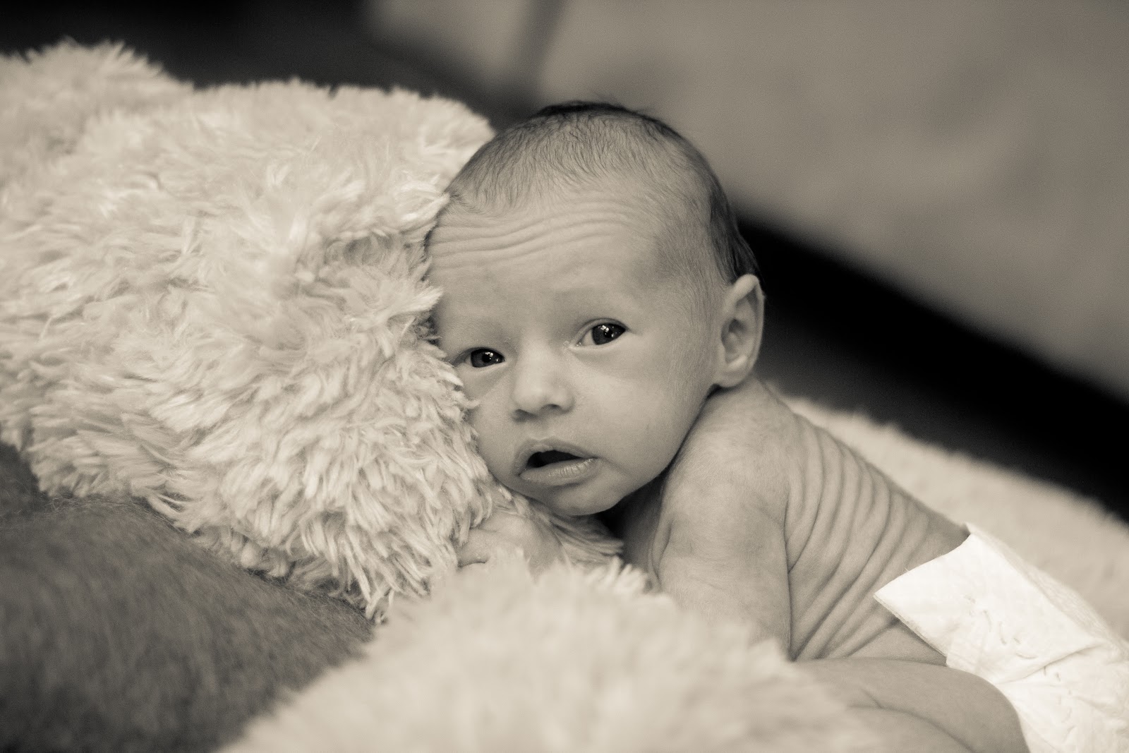 A Photo Every 24 Hours