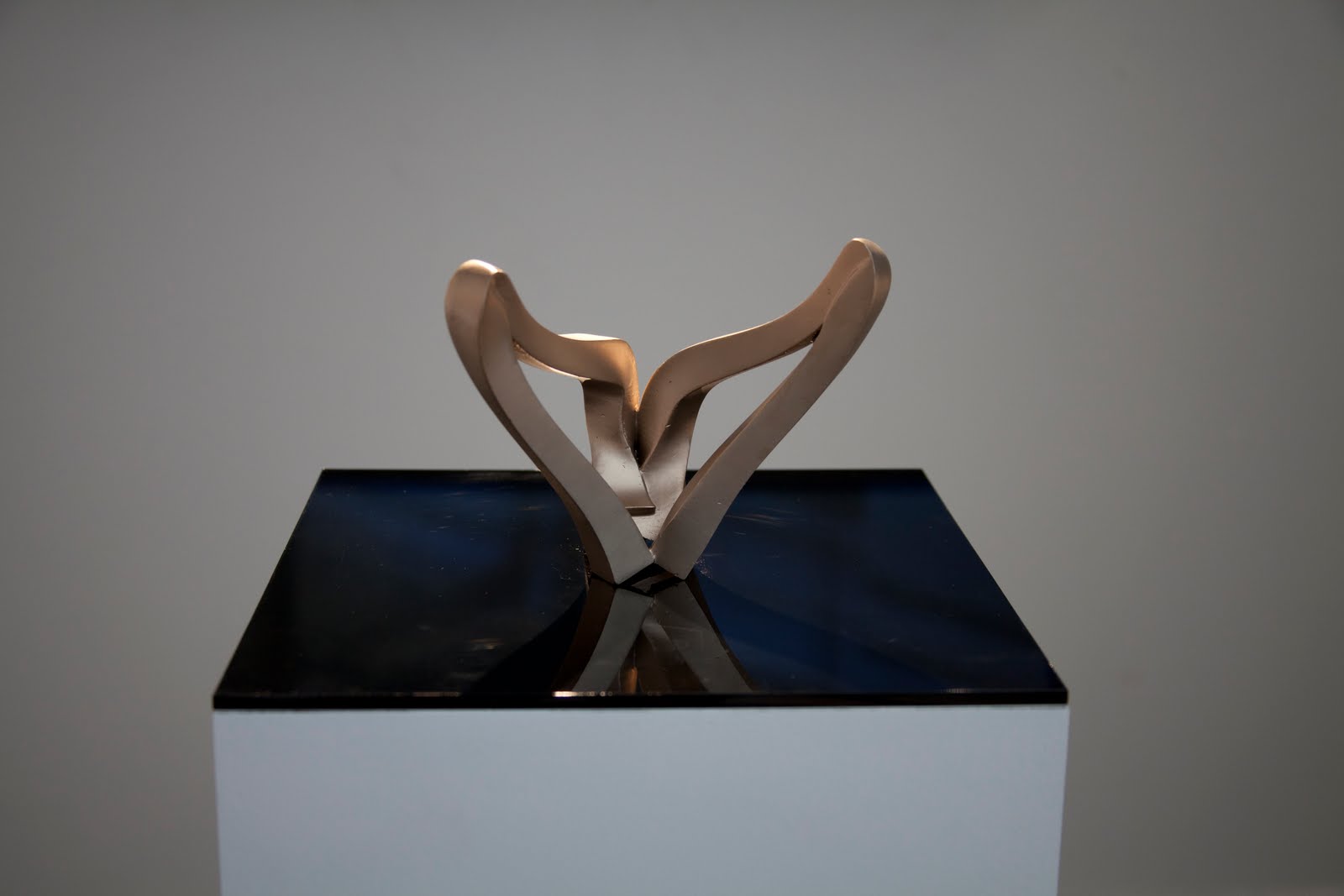Sculptural Motion Gallery Installation - Mathew Schwartz