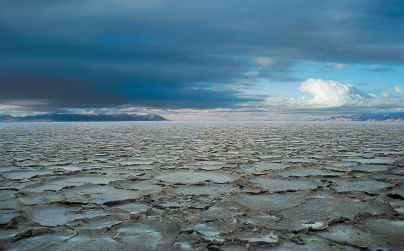 Petalo-Arte: [ Helmut Ditsch - pintura ( Buenos Aires ) ]