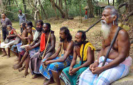 Untamed Traveller: 2015