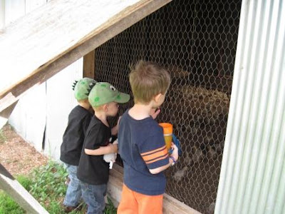 Two Bears Farm and the Three Cubs: Touring Polyface Farms - Rural Thursday