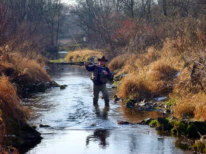 Strip-n-Twitch: 2014 Spring Branch Creek Fishing Survey Conducted by ...