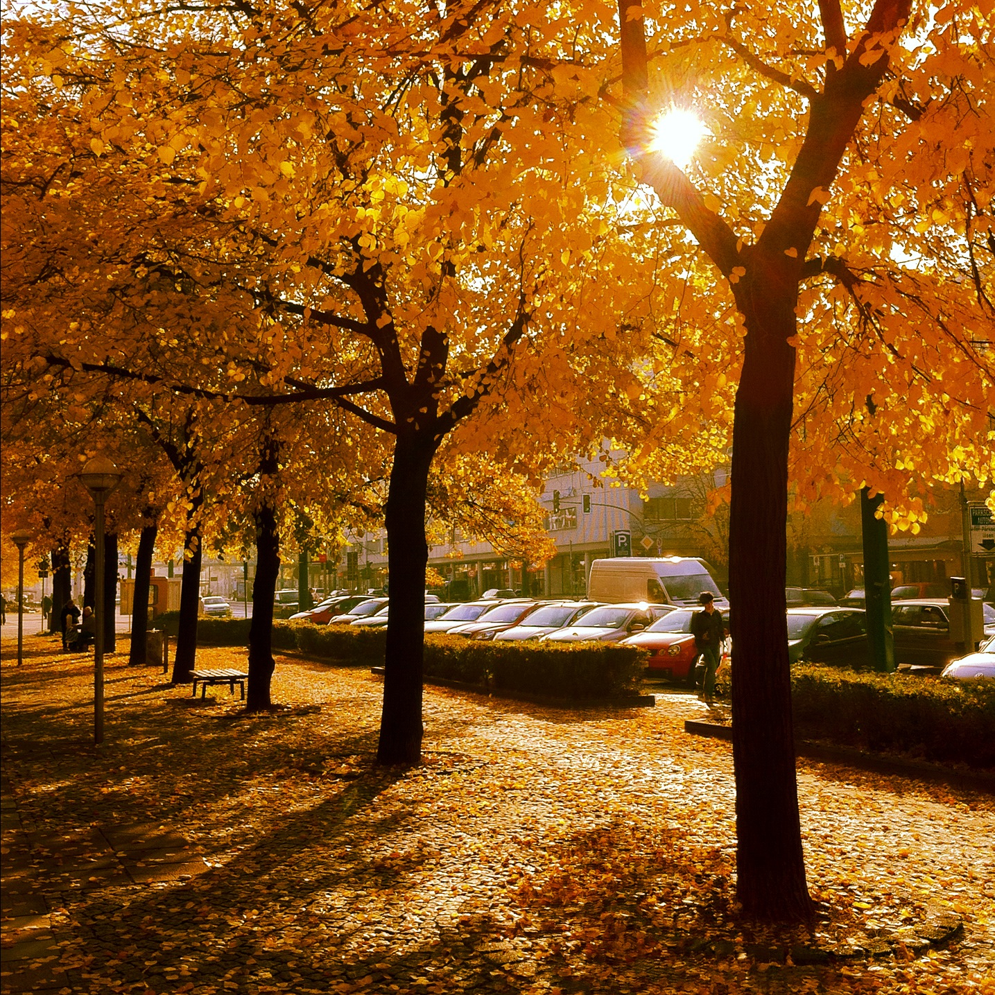 Kisia - Wrzosowa: Jesień w obiektywie