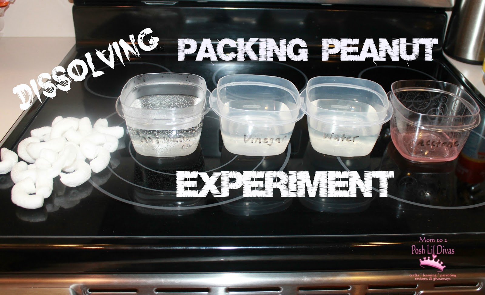 After seeing the effect water had on the packing peanuts the Lil Divas ...