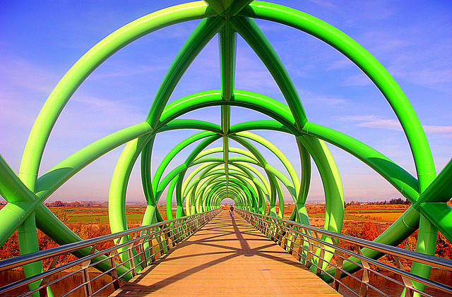 El anillo verde de Zaragoza | Alfonso García