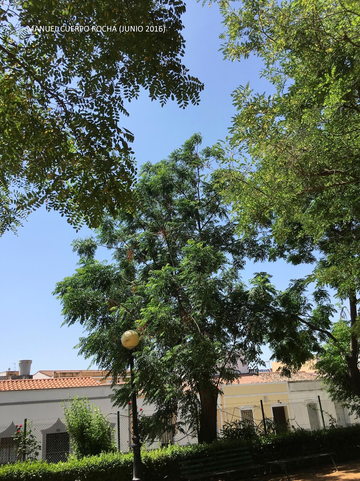 PARQUE MUNICIPAL DE MONTIJO: 2017