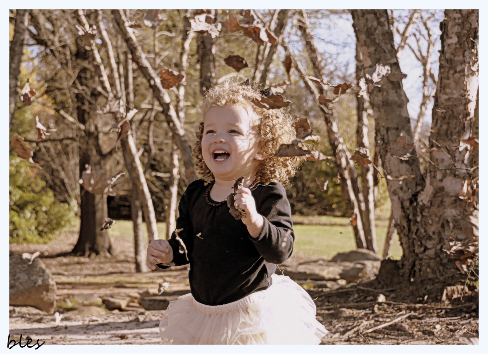 Making Time Stand Still Lexi Lou Turns Two Fall 2015