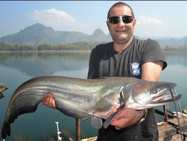 Big Fishes of the World: CATFISH WALLAGO ATTU (Wallago attu)
