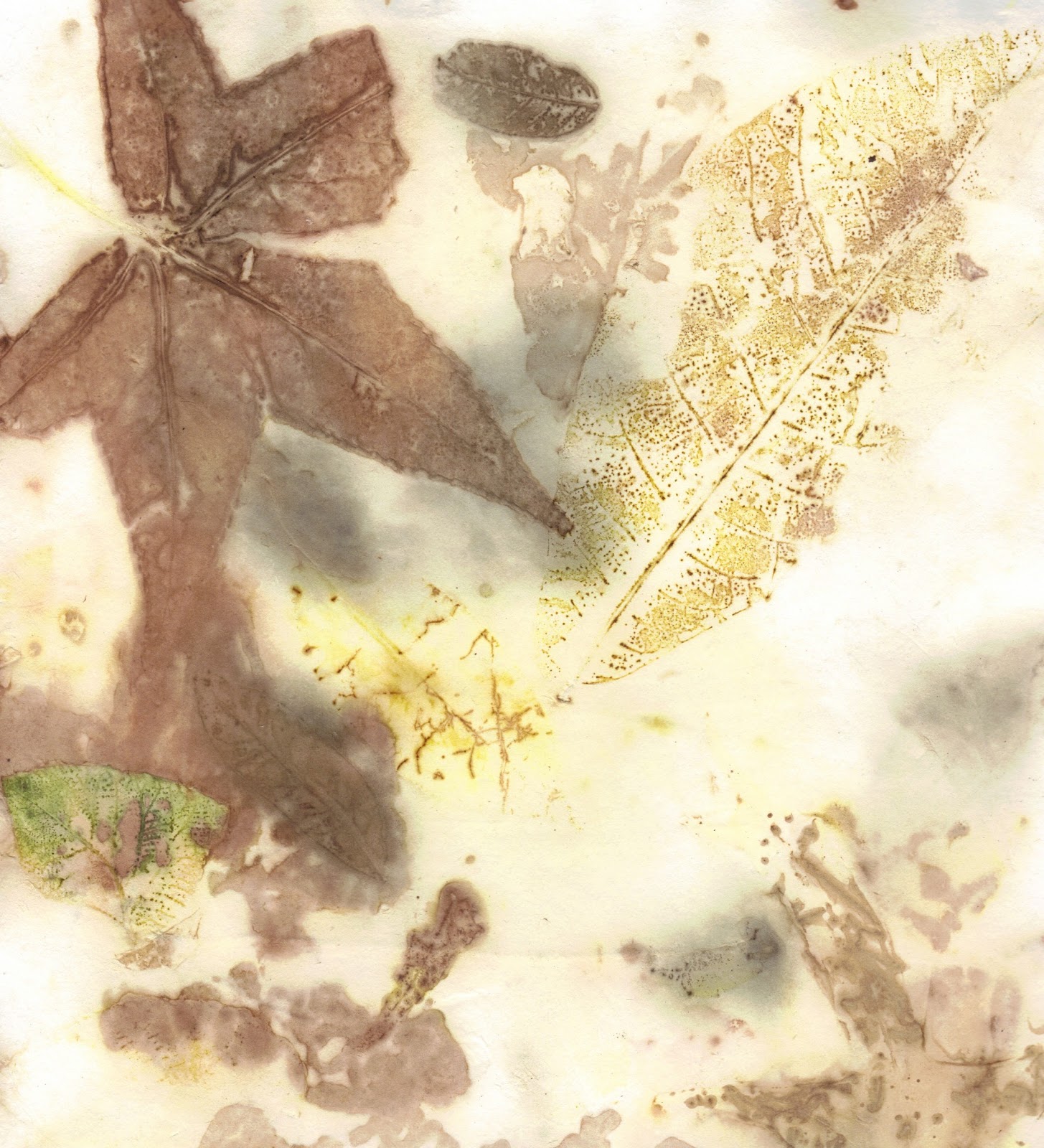 8 that create: Nature's Colors