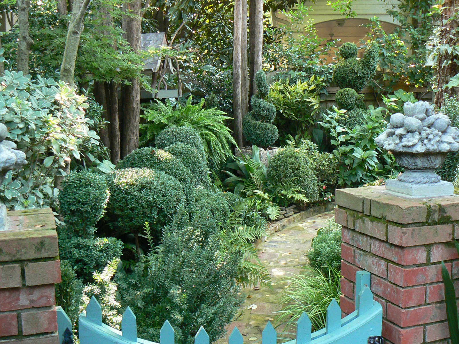 Garden Photo Today: Not afraid to fail