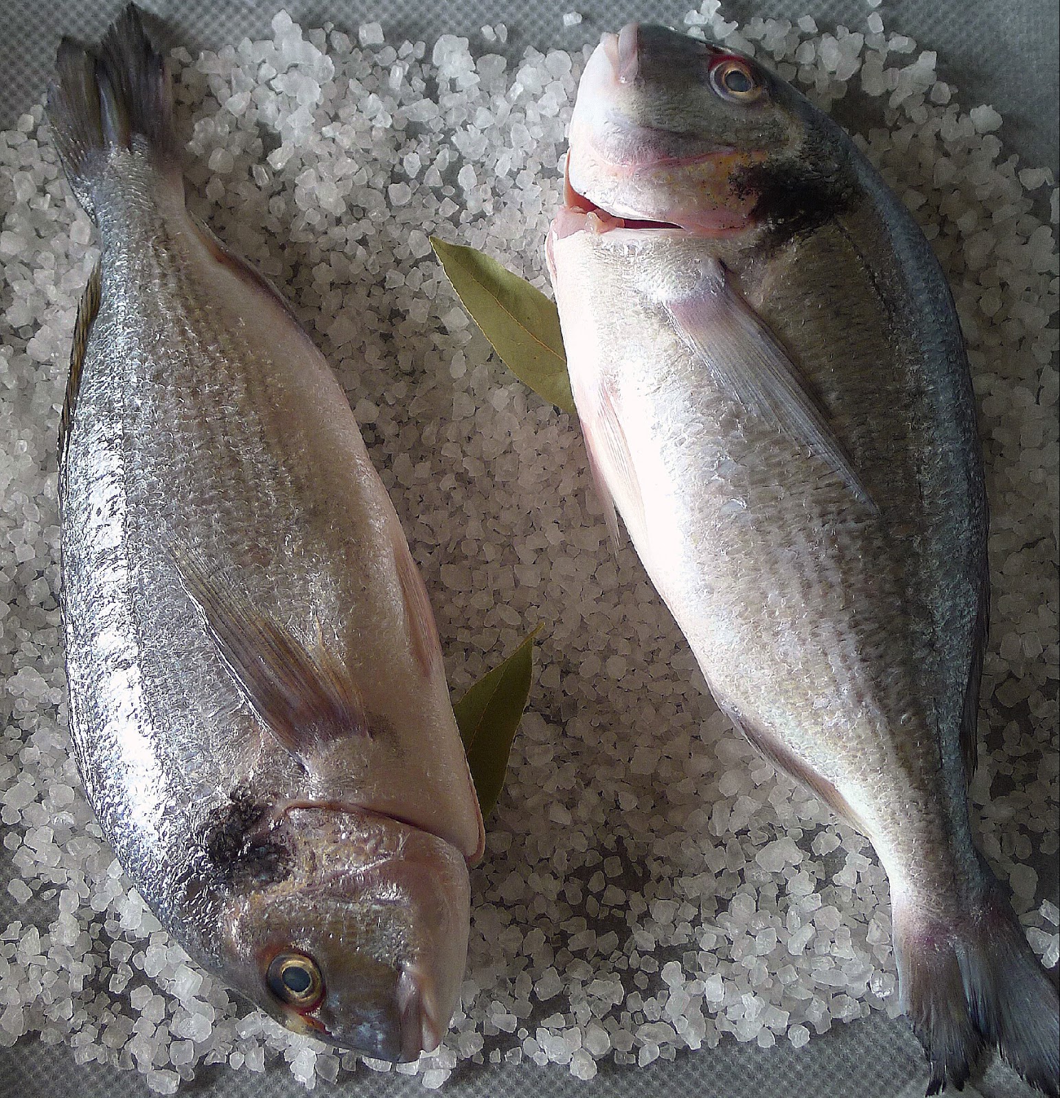 MY KITCHEN IN SPAIN: HOW TO BAKE FISH IN SALT