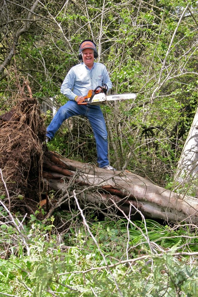 Professional Wedding and Event MC and DJ: Lightning Strikes Once, Trees ...