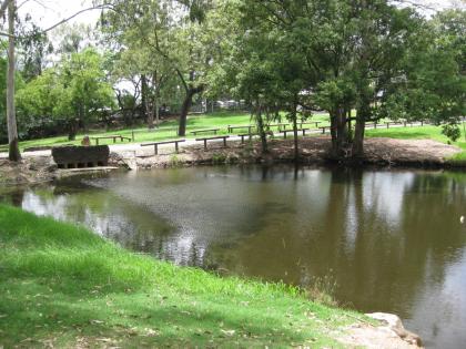 'Friends of ANZAC Park' Toowong (FAPT): ANZAC PARK PHOTOS