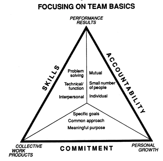 Book Review: The Wisdom of Teams