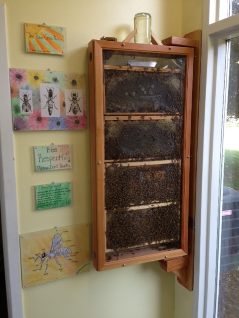 Observation hive grant