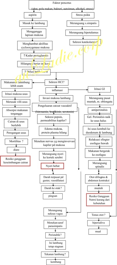 Nursing Path: Pathophysiology of Gastritis| Patofisiologi Gastritis