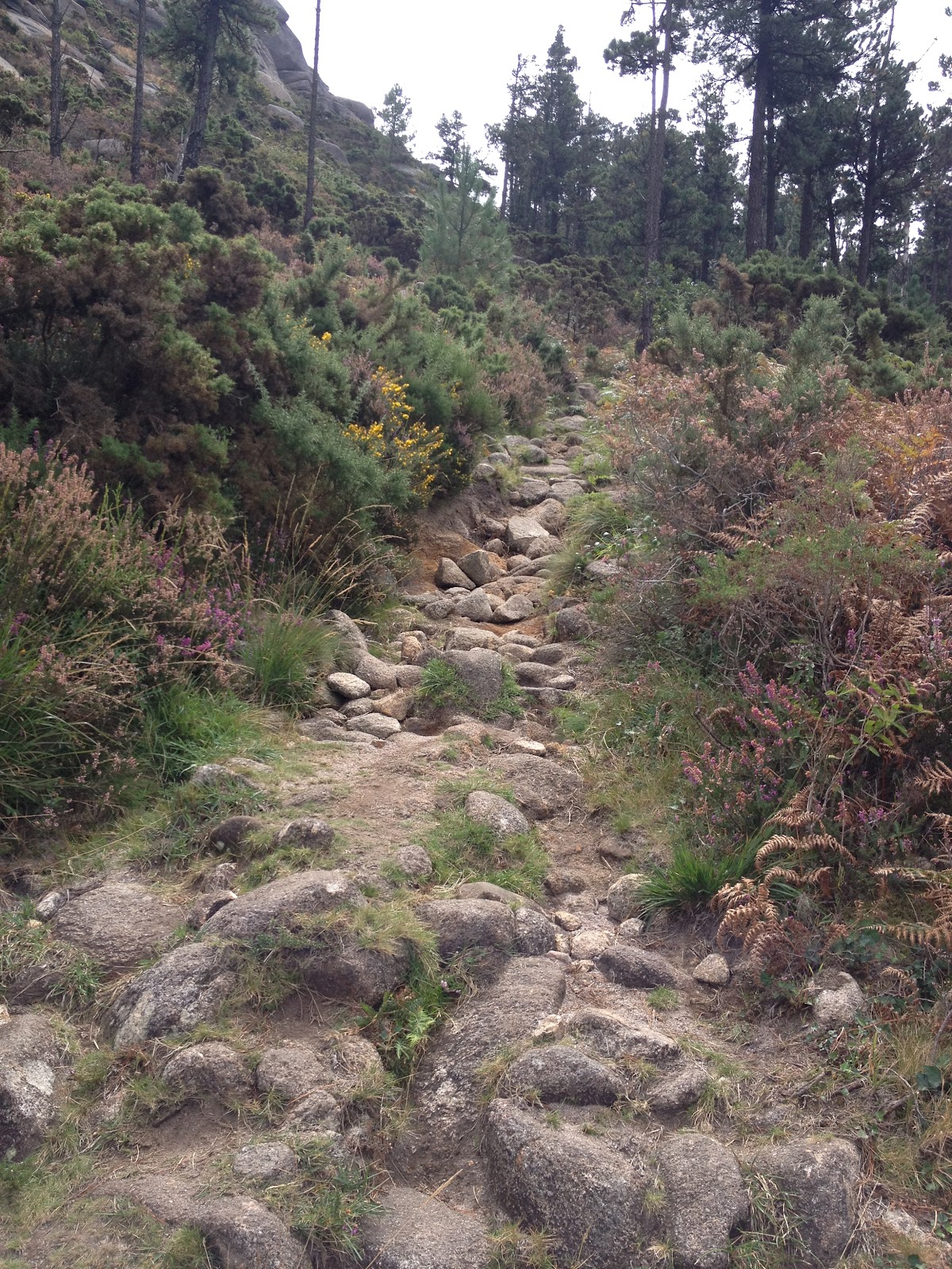 Trekking trail at Mount Pindo (Galicia, Spain) / Roteiro de A Moa ...