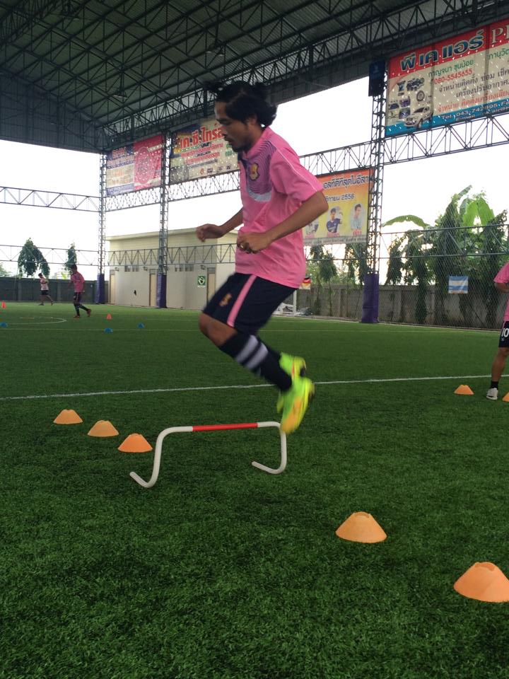 การออกแบบโปรแกรมฝึกตามแนวคิด ACE Integrated Fitness Training™ (ACE IFT ...