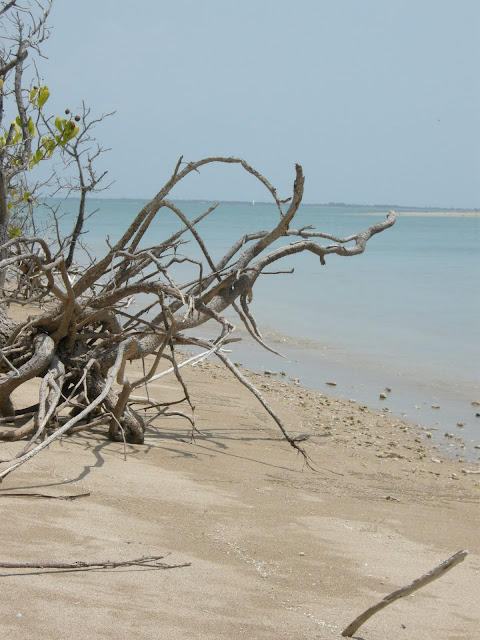 Tamilnadu Tourism: Kurusadai Island, Rameshwaram, Ramanathapuram