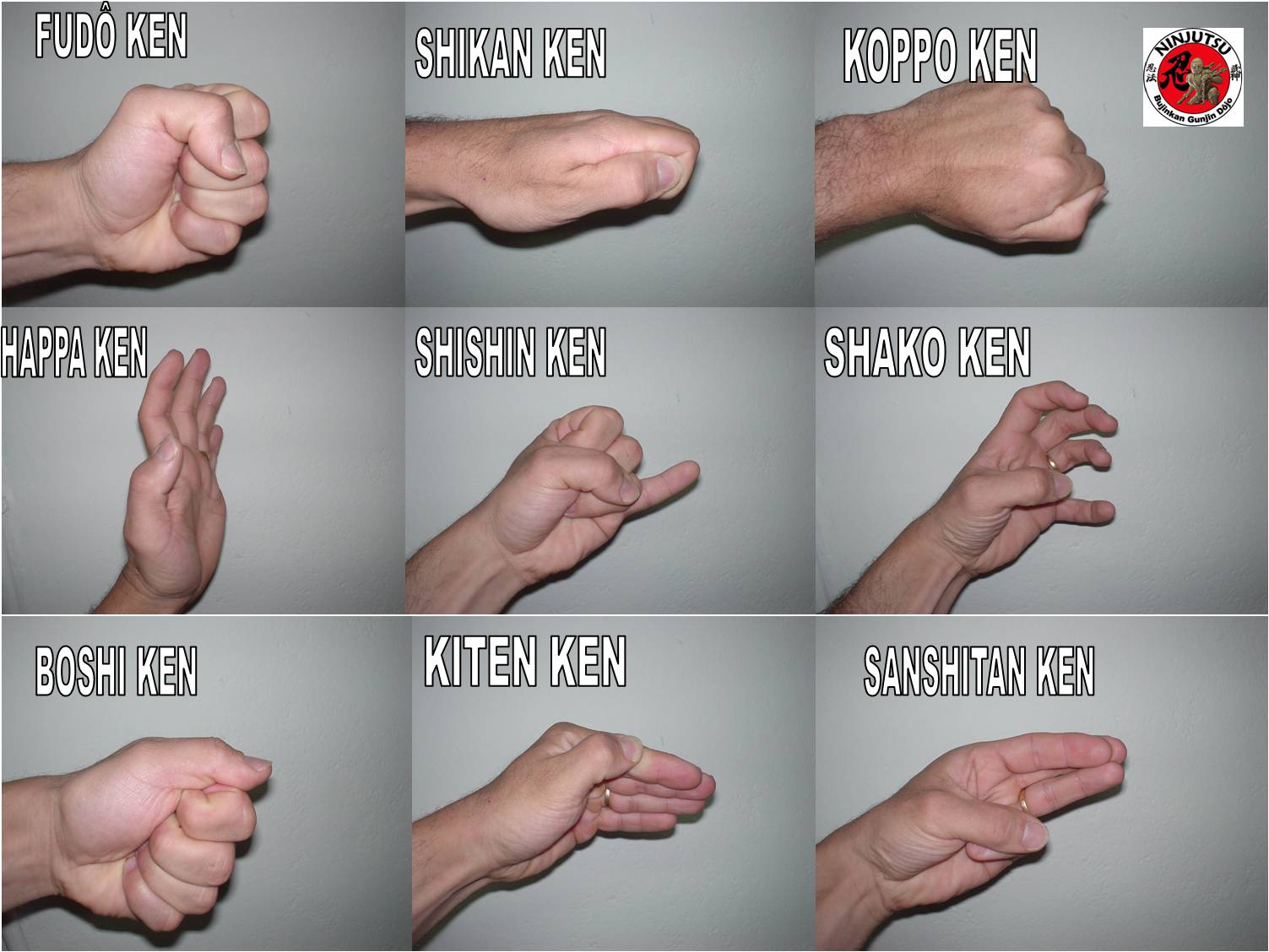 Bujinkan Yvelines: Les bases