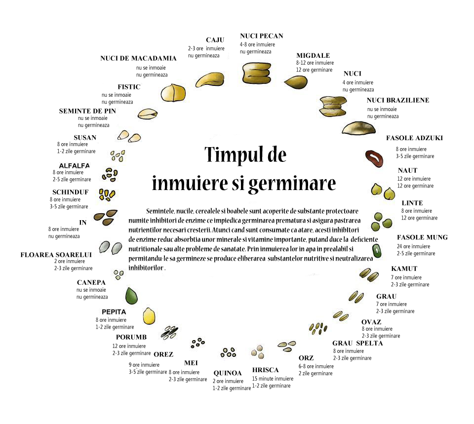 NO KNEAD BREAD - Pâine neframântată: De ce trebuie sa hidratezi nucile ...