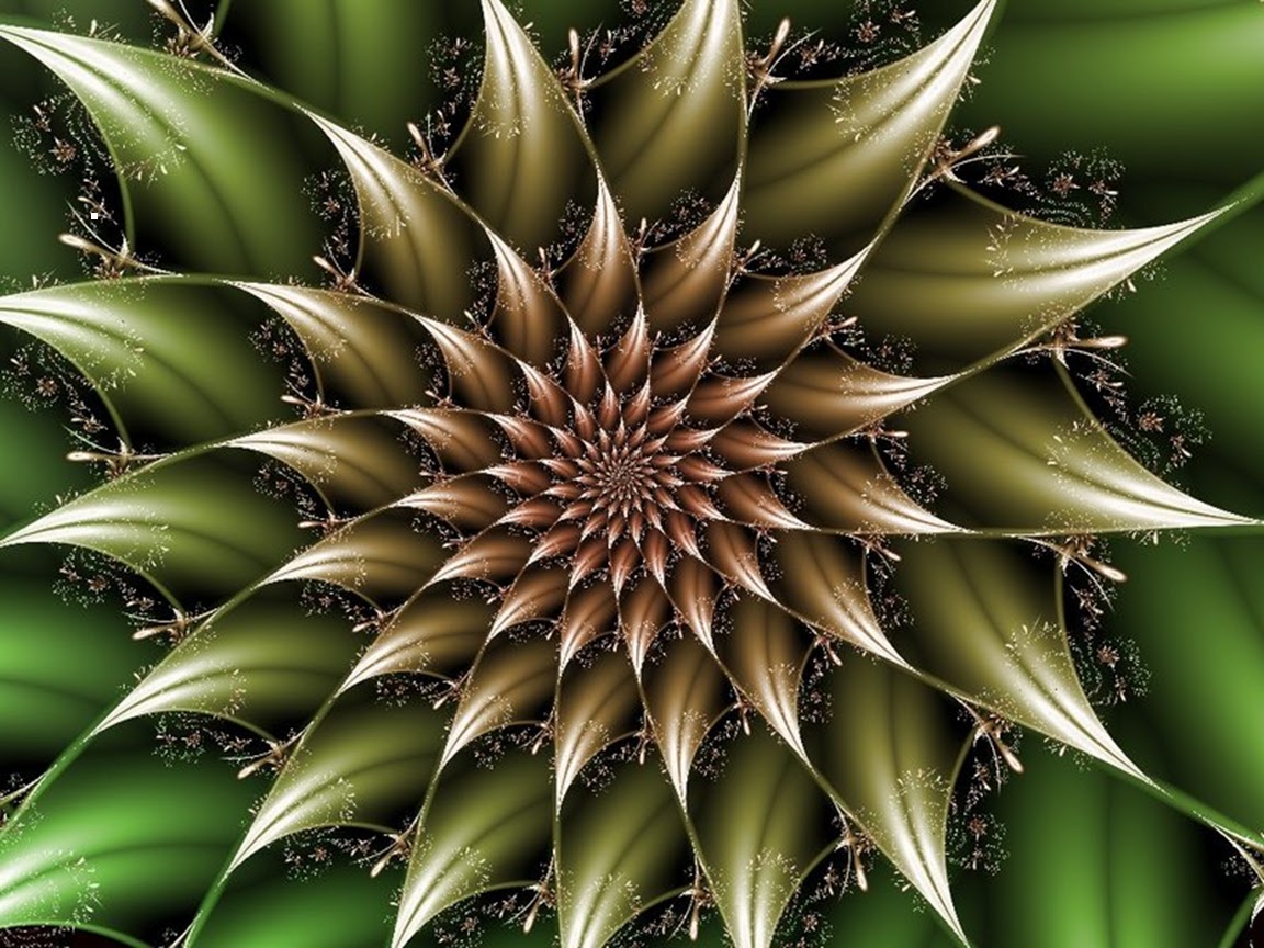 El espacio de Abuela Hortelia: ¿Qué son los fractales?