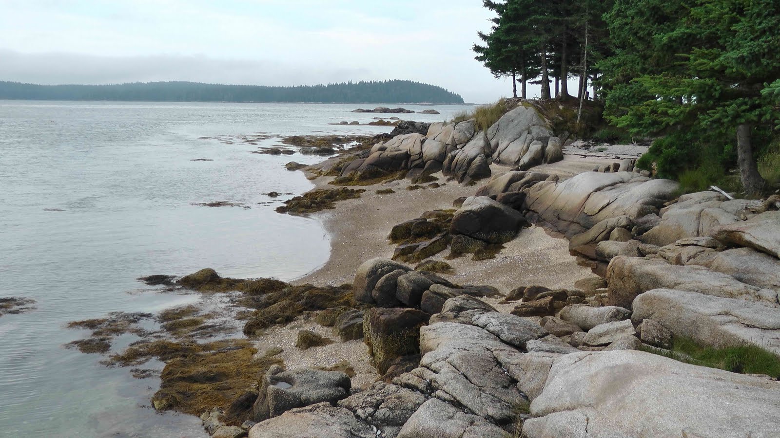 LATITUDES' JOURNEY: Buckle Island